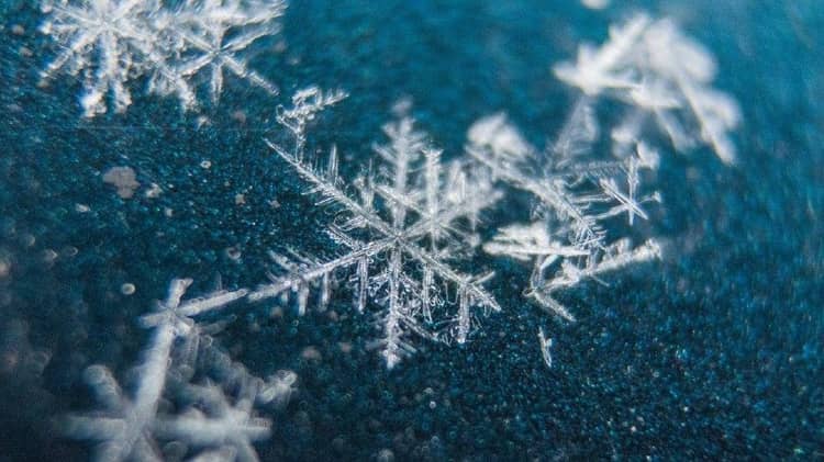 21 Tipe "Phile" Berdasarkan Kecintaanmu Terhadap Hal-Hal Ini | IDN Times