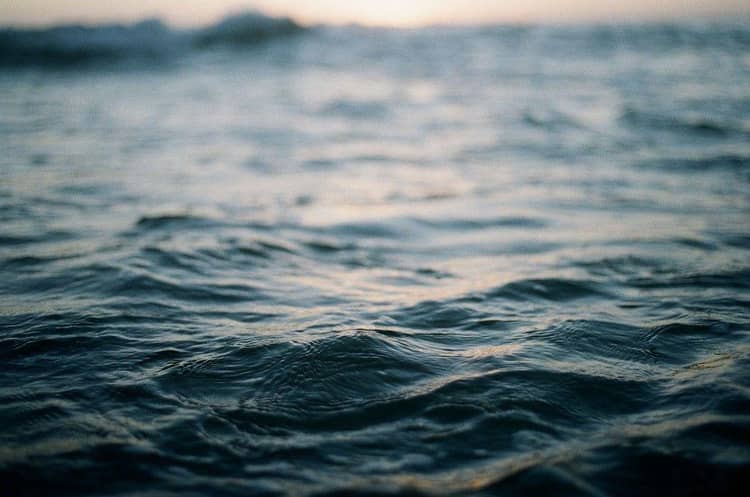 21 Tipe "Phile" Berdasarkan Kecintaanmu Terhadap Hal-Hal Ini | IDN Times