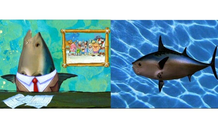 10 Karakter di SpongeBob Ini Pernah Muncul Tapi Jarang Diperhatik | IDN ...