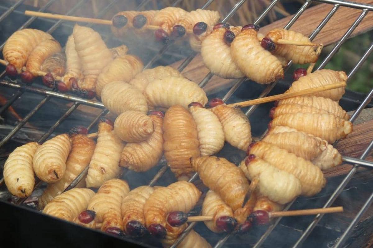 #GiziLokal: 5 Manfaat Ulat Sagu yang Harus Kamu Tahu | IDN Times
