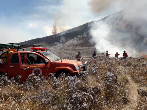 Apa Itu Flare? Ini Kegunaan, Cara Kerja, dan Risikonya | IDN Times