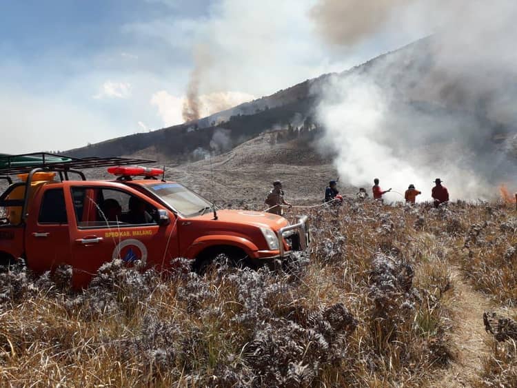 Apa Itu Flare? Ini Kegunaan, Cara Kerja, dan Risikonya | IDN Times