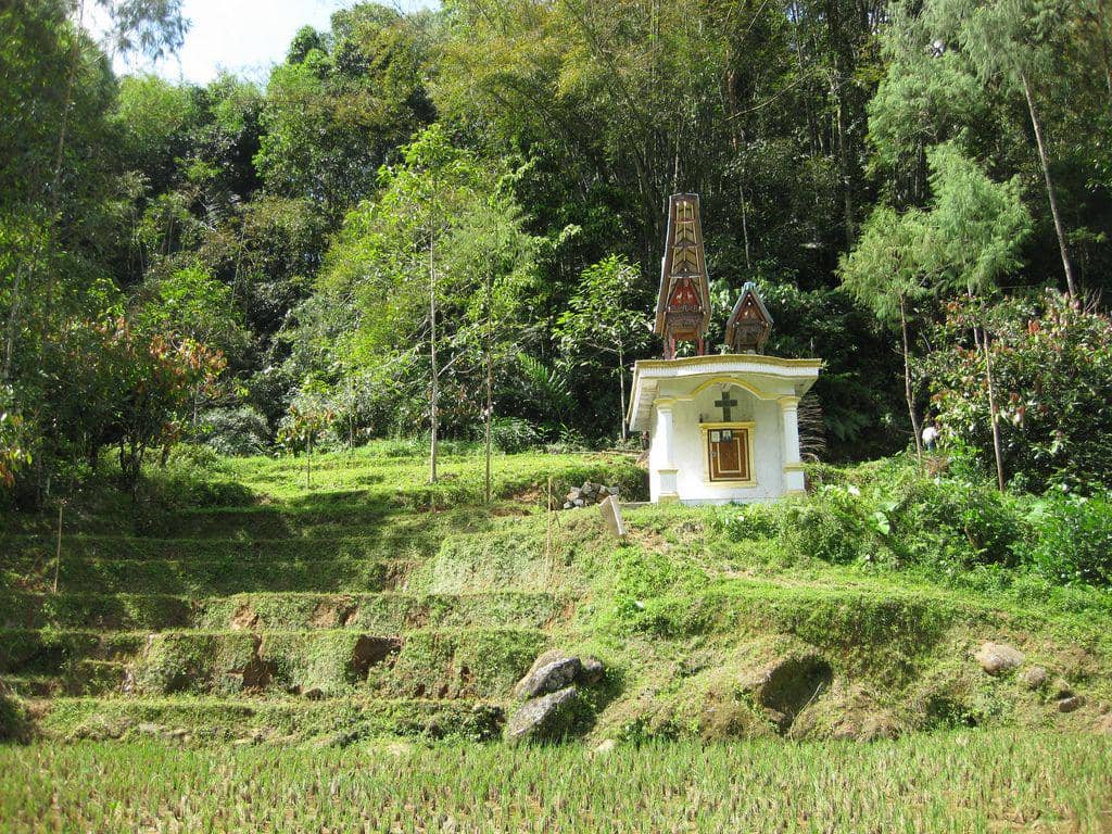 Ini Penampakan 5 Kuburan Khas Toraja yang Jadi Objek Wisata | IDN Times ...
