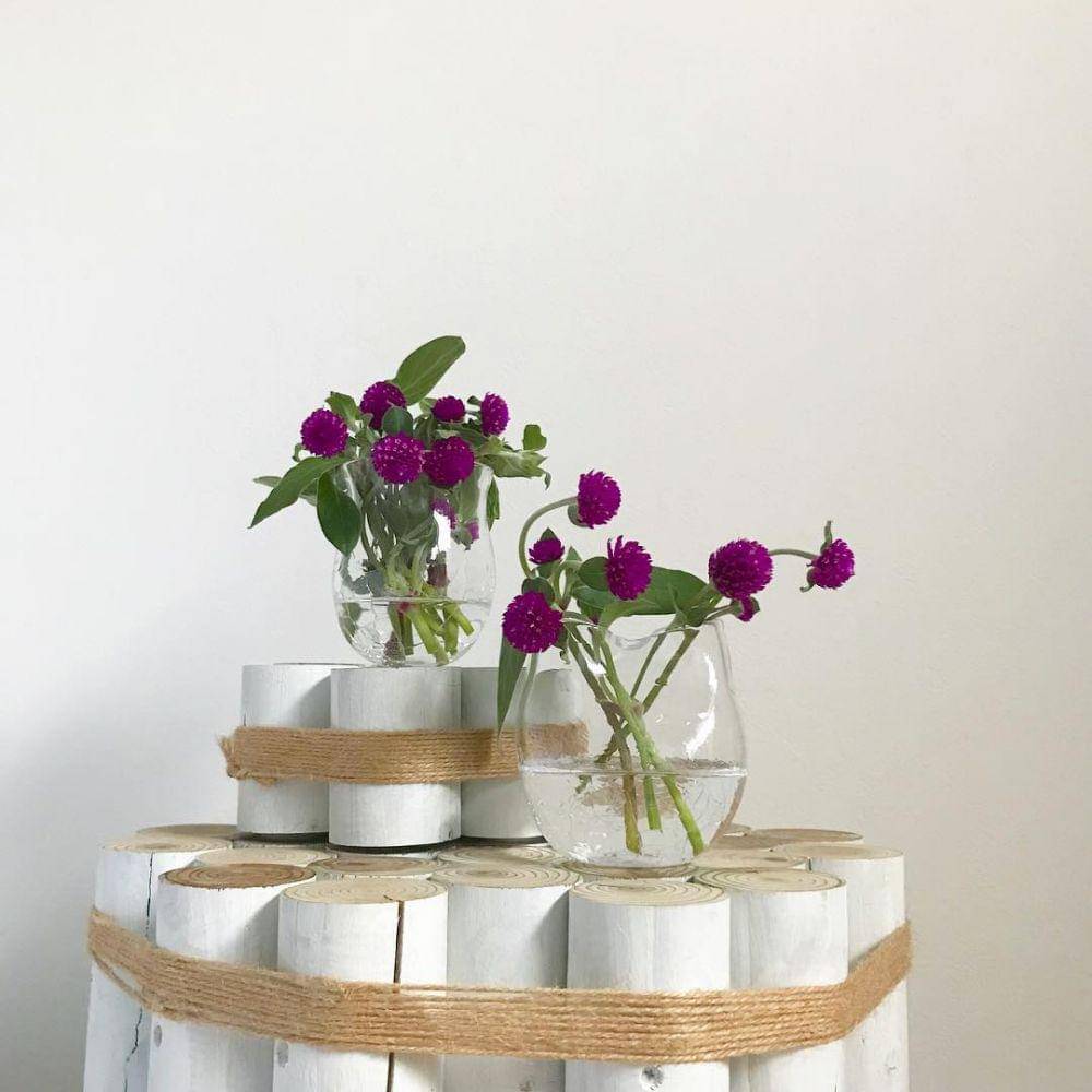 6 Manfaat Bunga Kenop untuk Kesehatan, Banyak Dijadikan Ramuan Ob | IDN ...