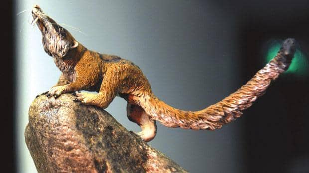 5 Hewan Purba Ini Jadi Inspirasi Karakter Unik di Film Ice Age | IDN Times