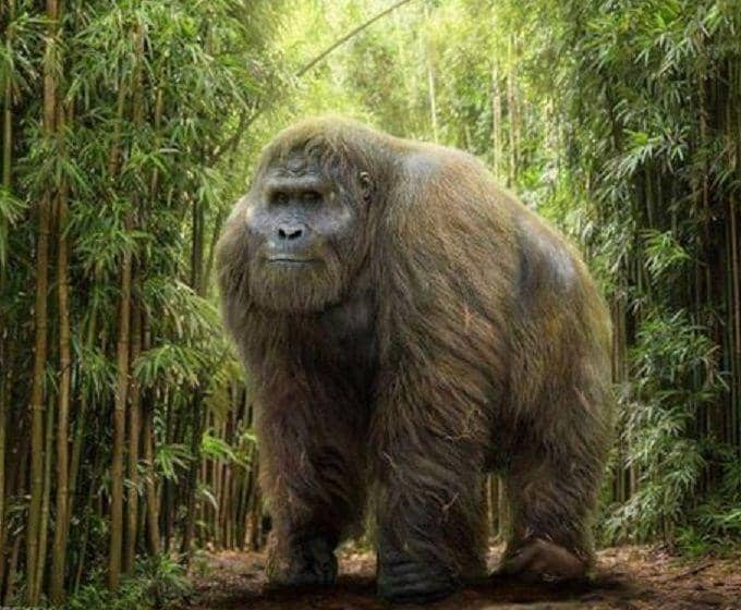 5 Hewan Purba Ini Jadi Inspirasi Karakter Unik di Film Ice Age | IDN Times