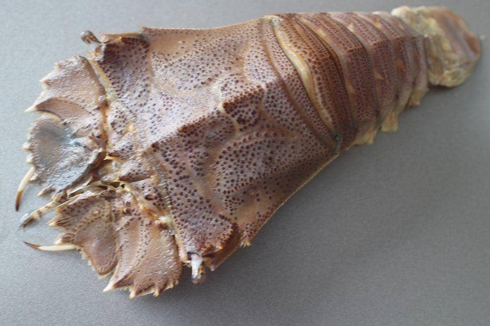 8 Jenis Udang Paling Populer dan Enak di Indonesia | IDN Times