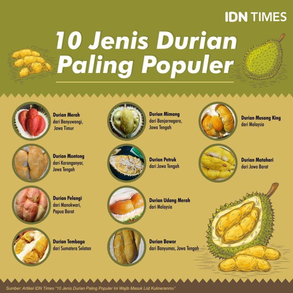 10 Jenis Durian Enak Paling Populer | IDN Times