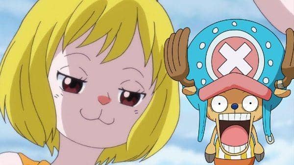 10 Fakta Tony Tony Chopper, Dokter Terlucu di One Piece! | Duniaku.com