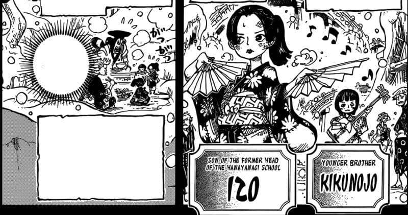 8 Fakta O-Kiku Alias Kikunojo, Samurai One Piece Kuat | Duniaku.com