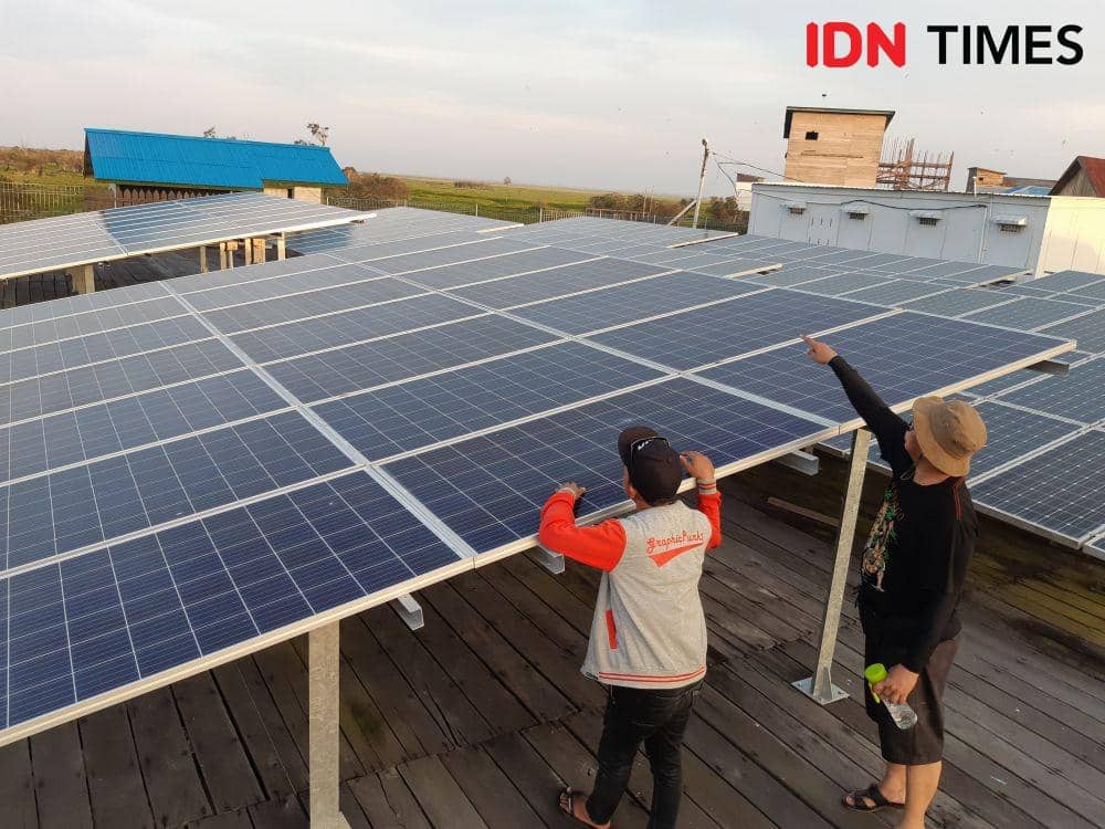Produsen Panel Surya Minat Investasi di Indonesia, Butuh Lahan 500 ...