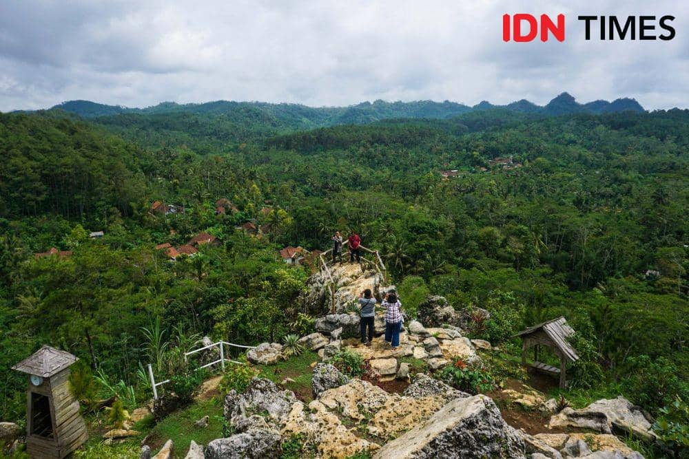 5 Fakta Menarik Wisata Hutan Pinus Kalilo Purworejo yang Masih Pe | IDN ...
