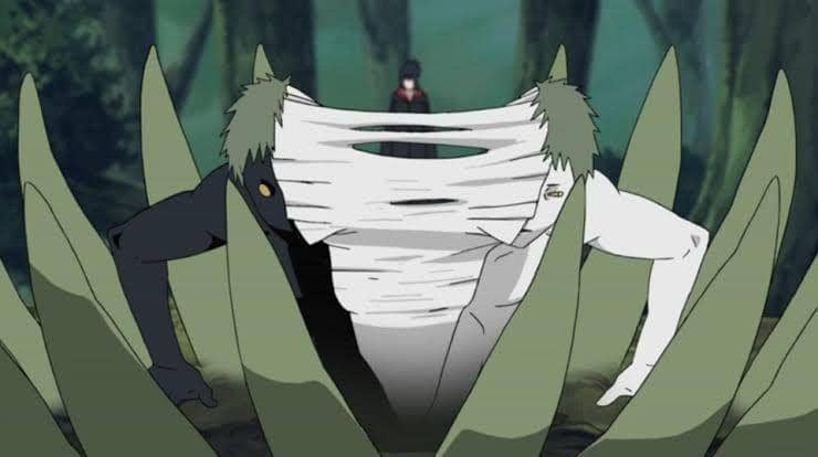 7 Fakta Zetsu, Duo Parasit dari Akatsuki di Naruto! | Duniaku.com