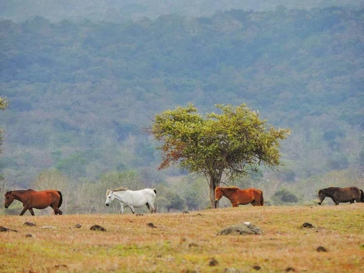 10 Rekomendasi Tempat Wisata di NTB | IDN Times
