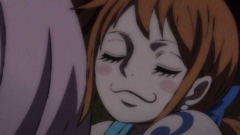 13 Fakta dan Profil Nami One Piece, Navigator Topi Jerami | Duniaku.com