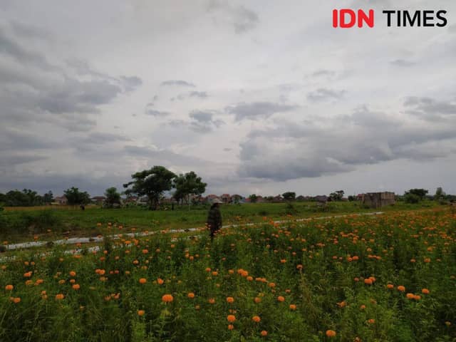 Suhu Dingin Diperkirakan Terjadi Hingga September, Puncaknya Agustus ...