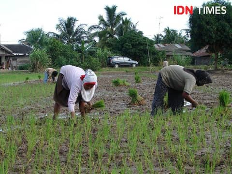 Profil Arinal Djunaidi, Anak Petani Kini Gubernur Lampung | IDN Times ...