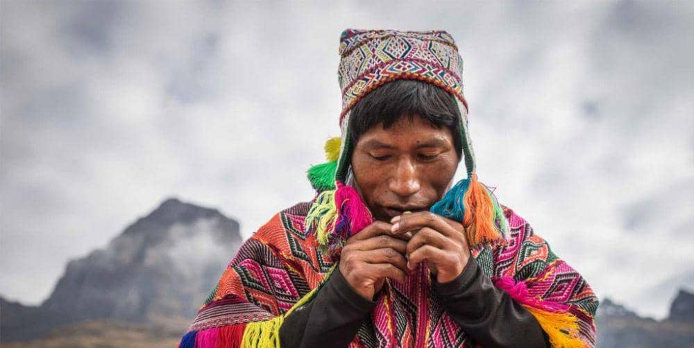 5 Fakta Bunga Trompet, Tumbuhan Cantik, tapi Mematikan! | IDN Times