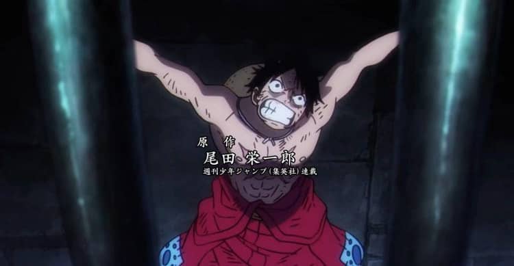 16 Fakta Monkey D. Luffy One Piece, Kapten Topi Jerami! | Duniaku.com