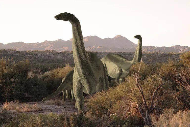 7 Dinosaurus Terbesar Sepanjang Sejarah, Ada yang Tingginya 21 Me | IDN ...