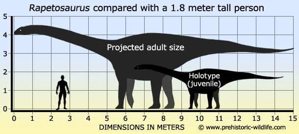 7 Dinosaurus Terbesar Sepanjang Sejarah, Ada yang Tingginya 21 Me | IDN ...