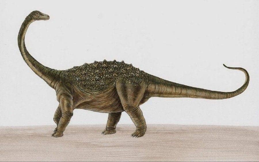 7 Dinosaurus Terbesar Sepanjang Sejarah, Ada yang Tingginya 21 Me | IDN ...