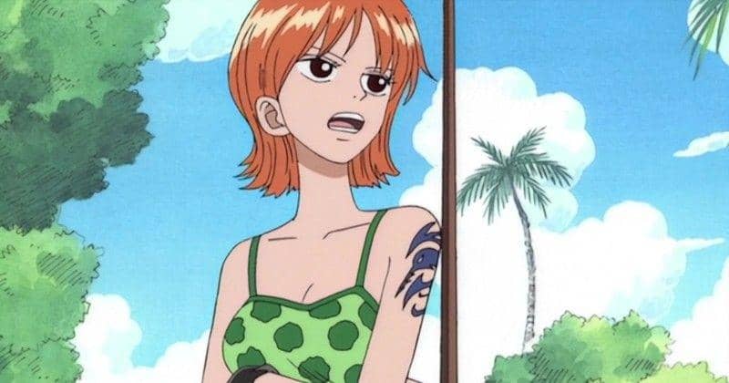 13 Fakta dan Profil Nami One Piece, Navigator Topi Jerami | Duniaku.com