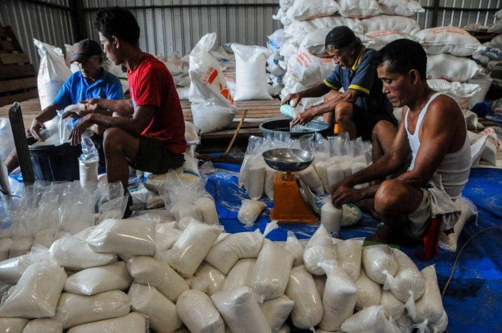 Sumsel Bakal Punya Perkebunan Tebu Seluas 8.300 Hektar | IDN Times Sumsel