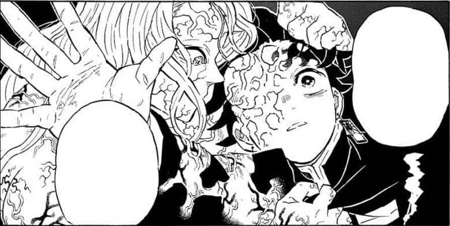 8 Fakta Tanjiro Kamado Kimetsu no Yaiba, sang Tokoh Utama! | Duniaku.com