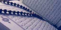 Pengertian Dabbah, Hewan Melata yang Keluar saat Kiamat | IDN Times