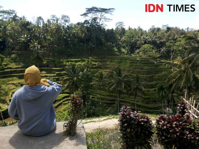 Apa Itu Terasering? Ini Fungsi, Jenis, dan Manfaatnya | IDN Times