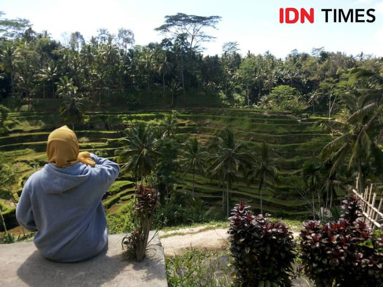 Apa Itu Terasering? Ini Fungsi, Jenis, dan Manfaatnya | IDN Times