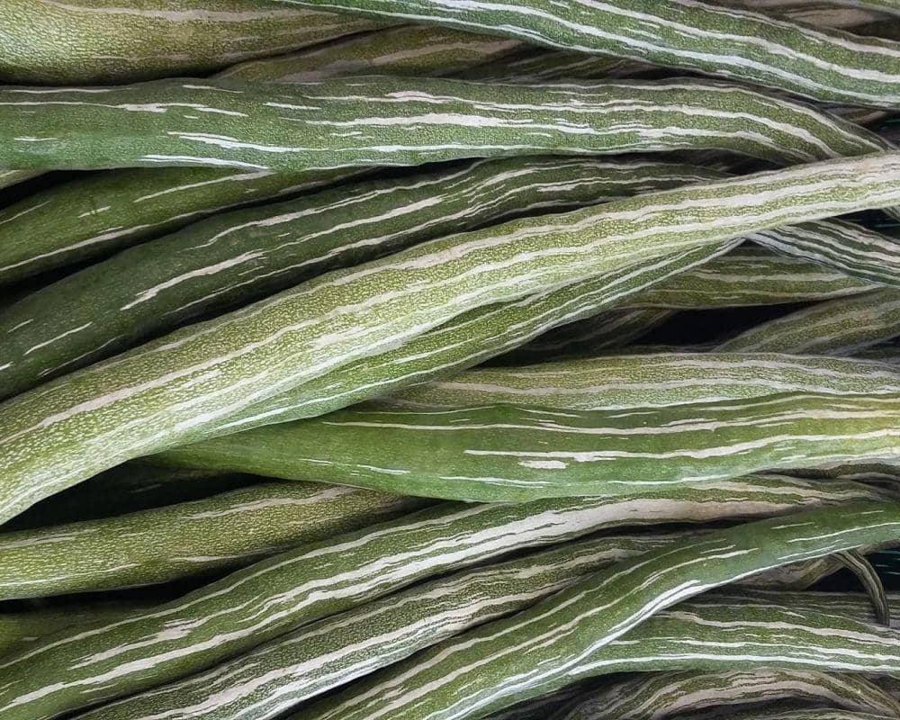 8 Jenis Labu yang Enak Dikonsumsi, Gak Cuma Pare Lho! | IDN Times