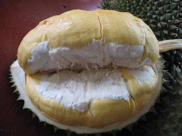 Durian Montong asal Sulteng Tembus Pasar Internasional | IDN Times Sulsel