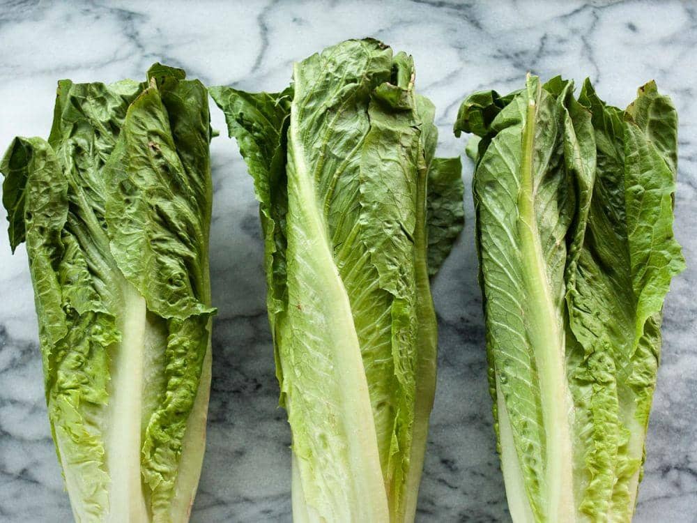 10 Jenis Selada yang Jarang Diketahui, Ternyata Ada Banyak Lho! | IDN Times