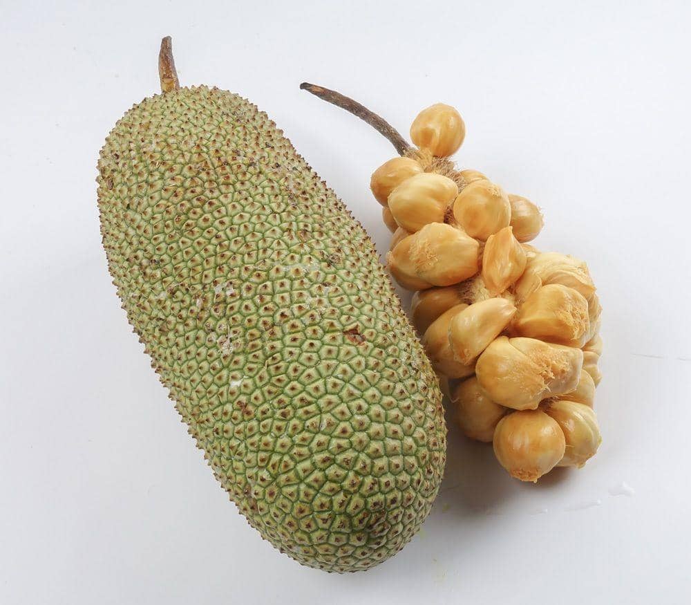 5 Perbedaan Nangka dan Cempedak, Buah Tropis yang Sering Disamaka | IDN ...