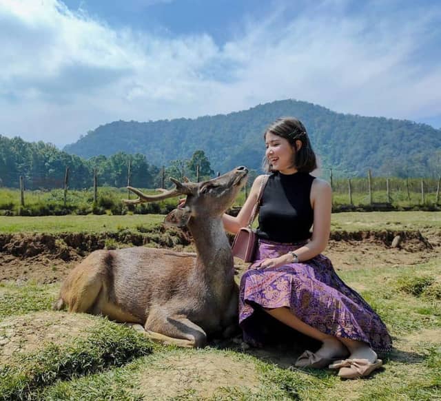 Ranca Upas Ciwidey Bandung: Lokasi, Rute, dan Harga Tiket | IDN Times