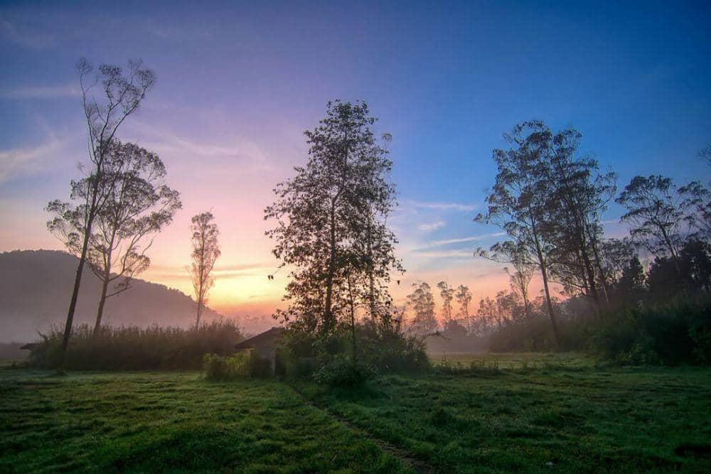 Ranca Upas Ciwidey Bandung: Lokasi, Rute, dan Harga Tiket | IDN Times