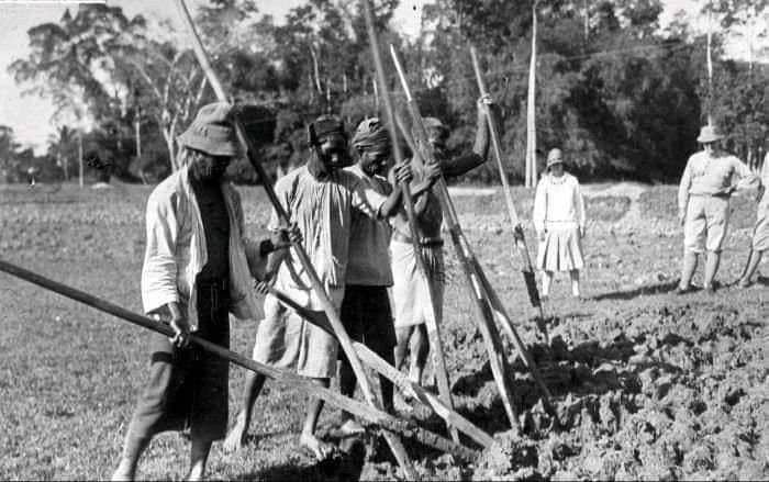 Romusha: Pengertian, Sejarah, dan Tujuannya | IDN Times