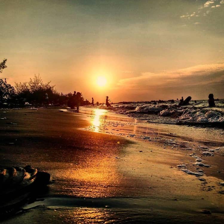 Menguak Mimi dan Mintuna, Ikan yang Bisa Bikin Pasutri Rukun | IDN ...