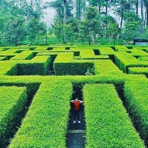 7 Taman Berkonsep Labirin Paling Estetik di Indonesia, Awas Terse | IDN ...