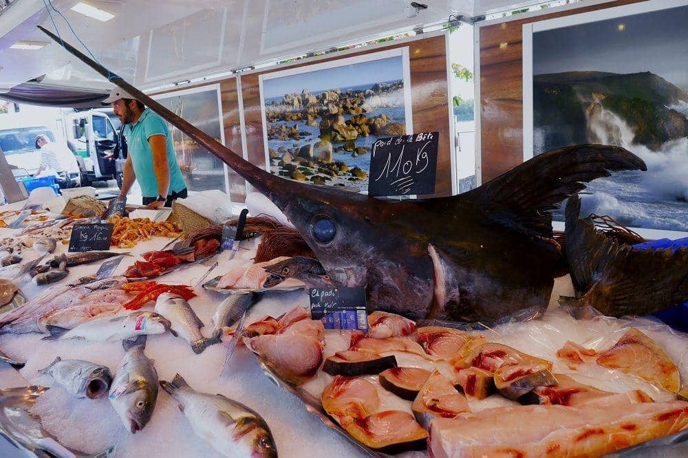 7 Fakta Menarik Ikan Todak, si Moncong Pedang Bergigi Ompong | IDN Times
