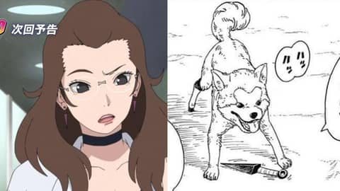 5 Anggota Klan Inuzuka di Naruto dan Boruto yang Diketahui! | Duniaku.com