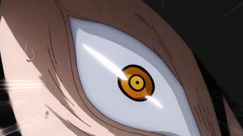 14 Fakta Dracule Mihawk One Piece, Ahli Pedang Terhebat! | Duniaku.com