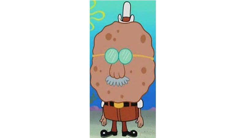 Terungkap! Ini Dia Silsilah Keluarga SpongeBob SquarePants! | Duniaku.com