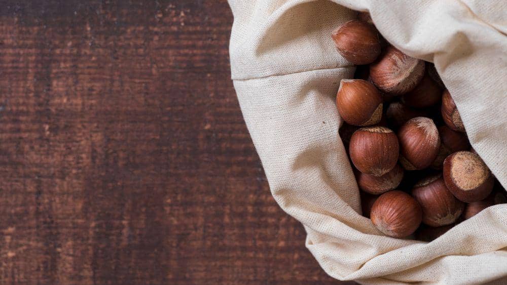 10 Manfaat Kesehatan Chestnut atau Kacang Kastanya, Bergizi! | IDN Times