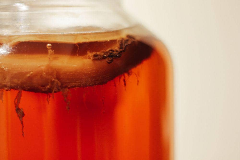 Kombucha Terbuat dari Apa? | IDN Times