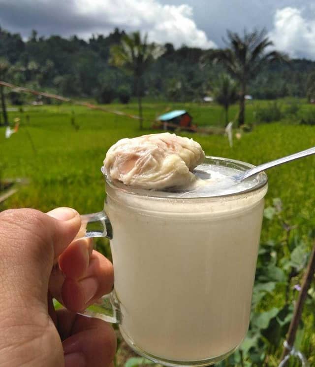 5 Fakta Saguer, Arak khas Minahasa yang Manis dan Asam | IDN Times