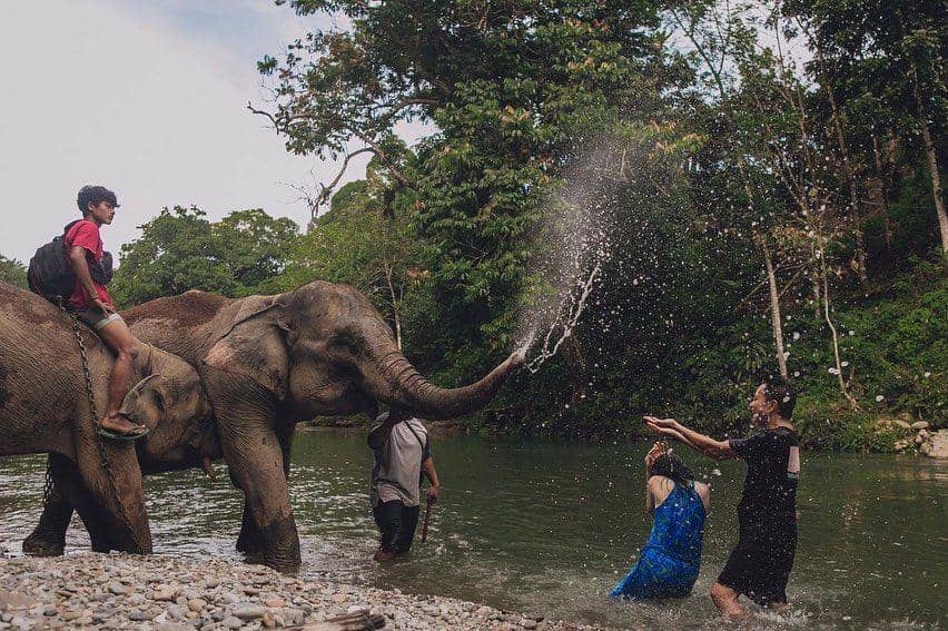 Sejarah Ekowisata Tangkahan, Ada Gajah Jinak untuk Patroli | IDN Times ...