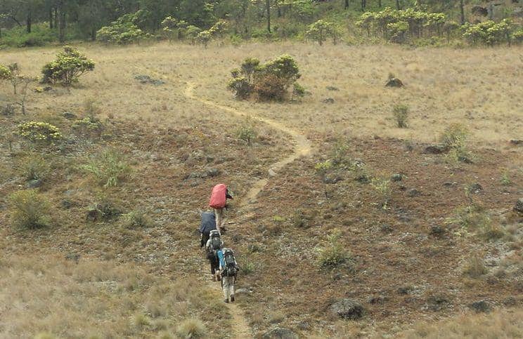 9 Fakta Gunung Argopuro | IDN Times